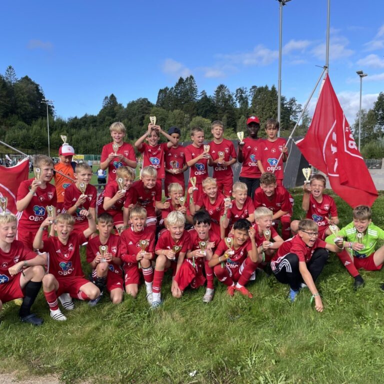 Easyplay - FK Vidar